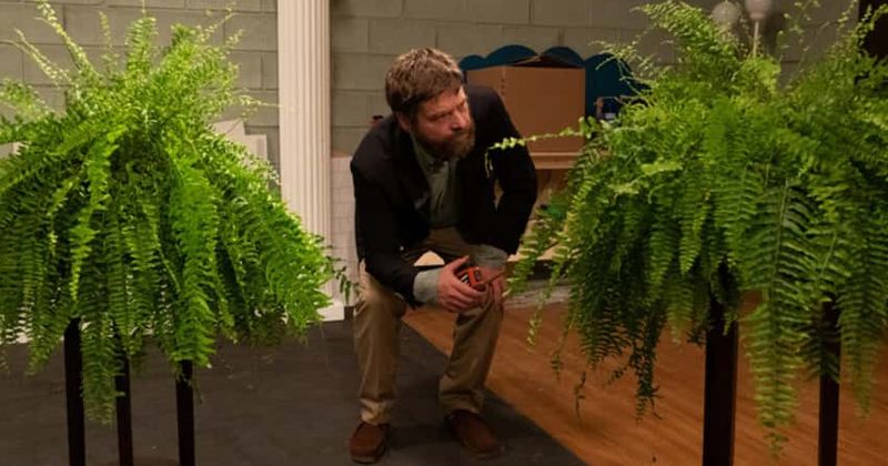 'Between Two Ferns: The Movie': From Obama to Cardi B, celebrities we’d ...