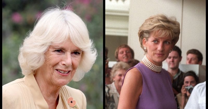 Camilla was terrified after Diana's sudden death in car crash in 1997 ...