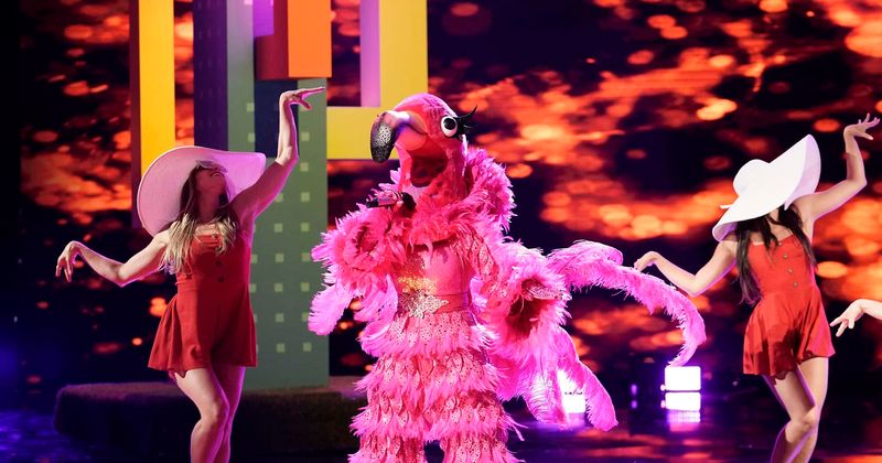 'The Masked Singer' Season 2: Fans are absolutely sure it's Cheetah ...