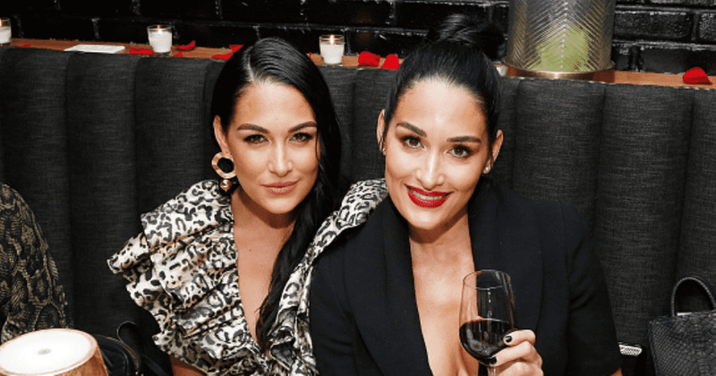 Coronavirus: Nikki and Brie Bella strip down to bikinis to show off ...