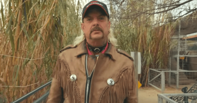 'Investigating the Strange World of Joe Exotic': Release date, plot ...