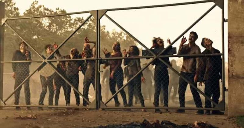 'Reality Z': Release date, plot, cast, trailer and all you need to know ...