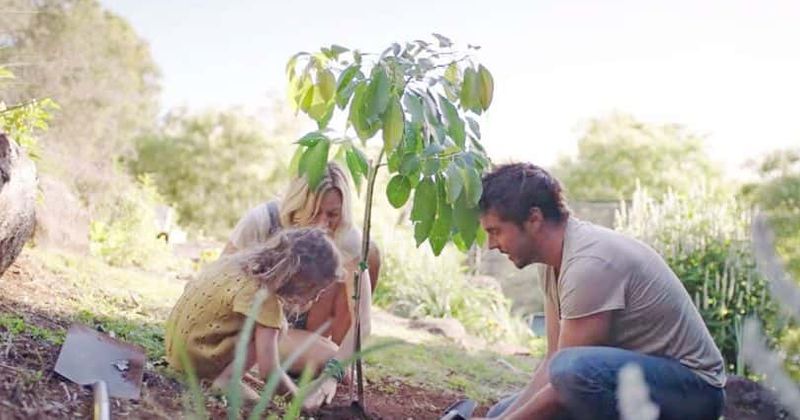 '2040': Release date, plot, trailer and all you need to know about the ...