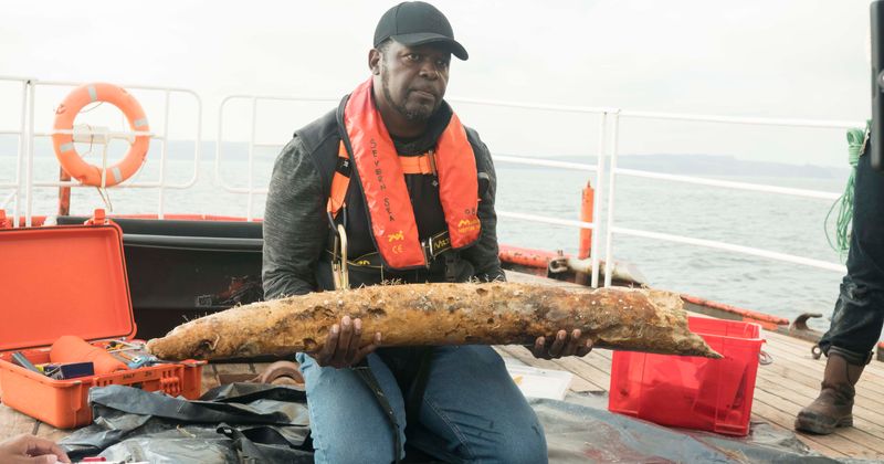 'Enslaved' Episode 2: 'Rationalization' shows origins of racism in ...