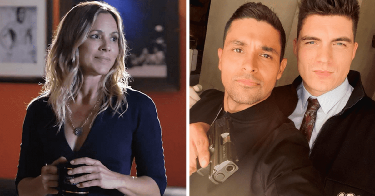 What are Maria Bello's plans post-'NCIS'? Here's what to expect as her ...