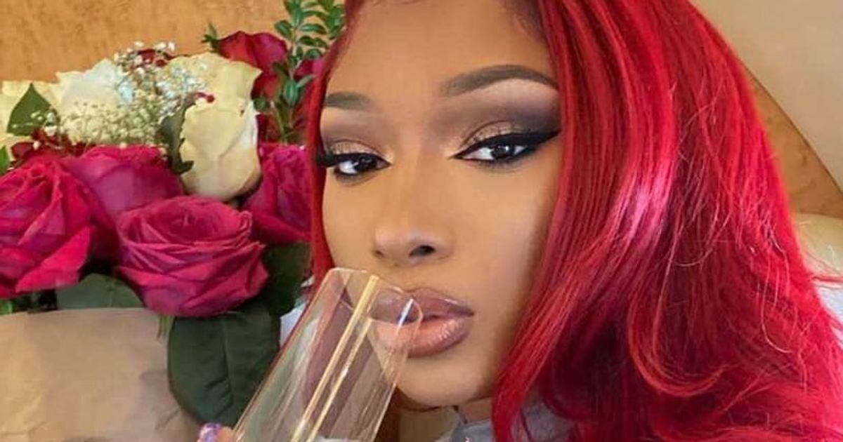 Is Megan Thee Stallion dropping 'Tina Snow 2'? Rapper changes profile ...