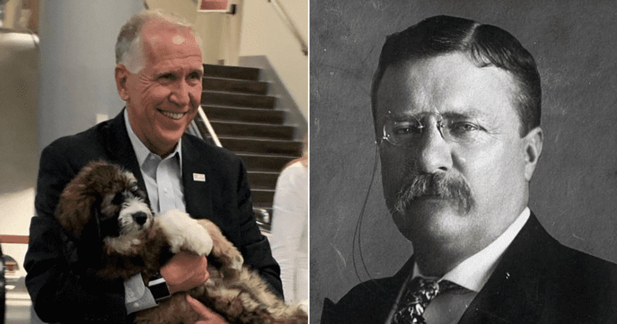 Who started the Progressive Party? Thom Tillis’ dog sparks debate about ...