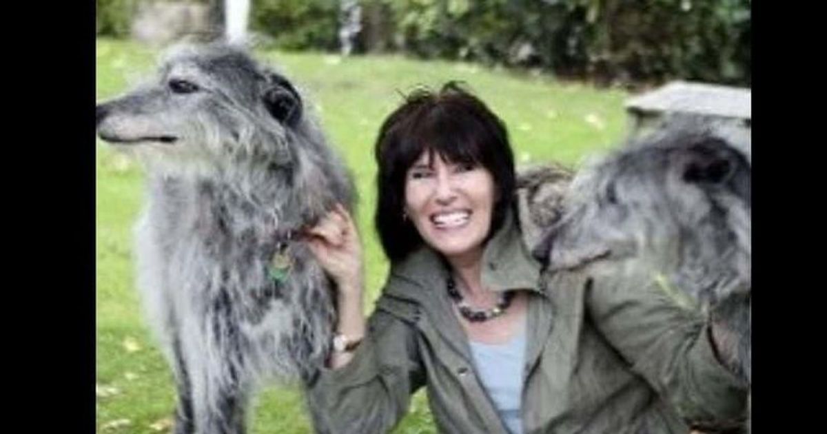 Who was Jill Murphy's husband? Children's author who wrote 'The Worst ...