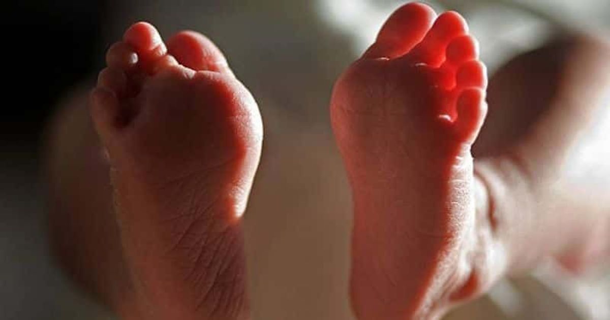 Soman Noori: Baby girl Havva born on Afghan evacuation flight to UK | MEAWW