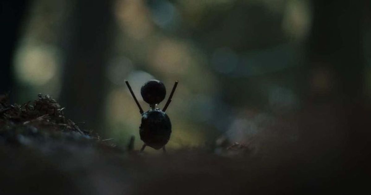 'The Chestnut Man': Release date, spoilers and all about Netflix series ...