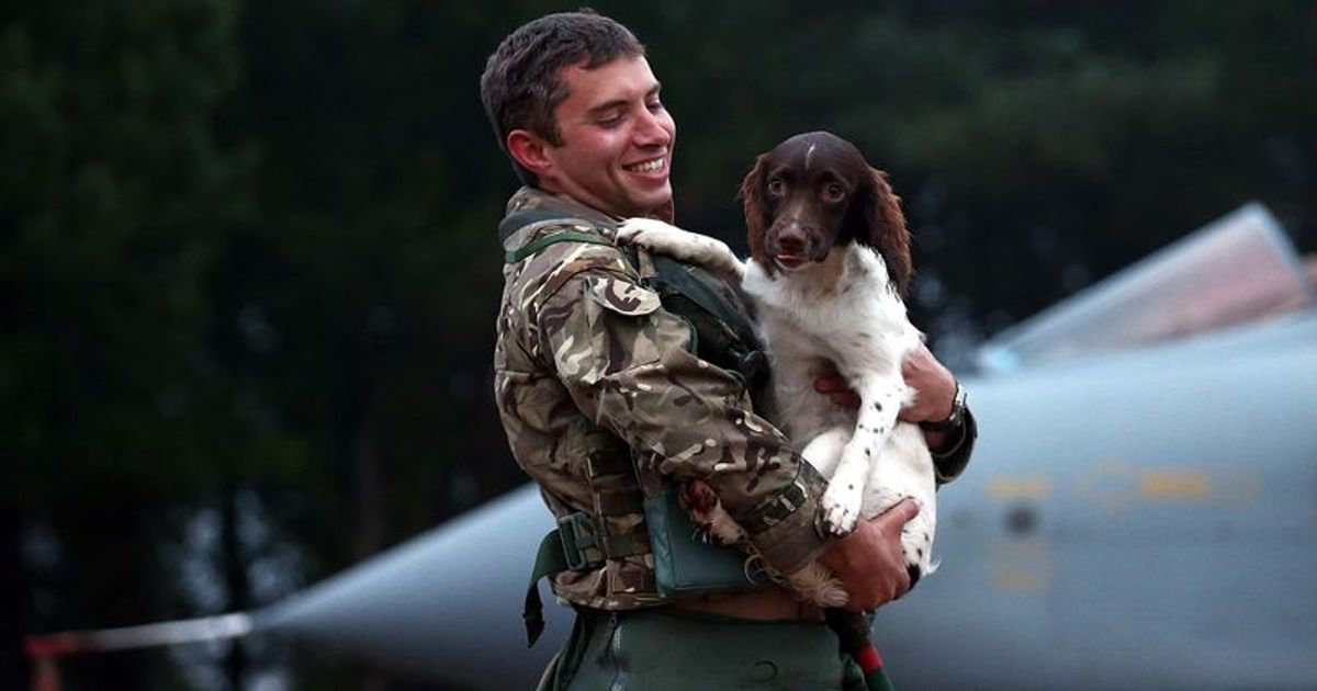 SAS dog handler to get bravery medal for defying bullets, saving canine ...