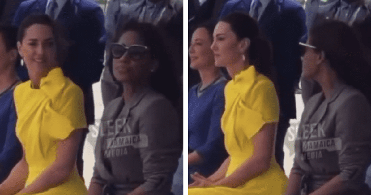 Who is Lisa Hanna? Former Miss World leaves royal fans RED-FACED after ...