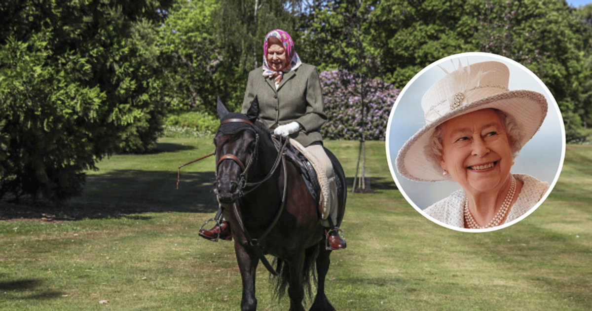 Queen makes RIDING COMEBACK just nine months after she was told to quit ...
