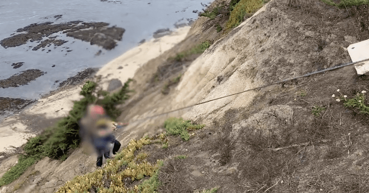 Dramatic video shows firefighters rescuing man who fell 100 feet after ...