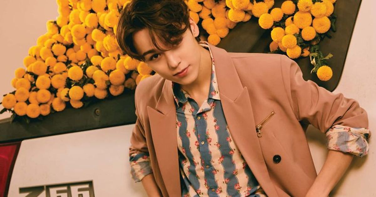 ARMY slam Vernon as he's forced to talk about BTS' past, Seventeen fans ...