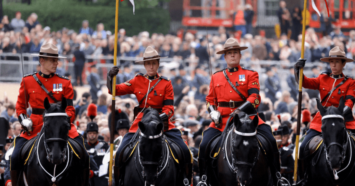 'Mounties look positively resplendent': 4 horses from Royal Canadian ...