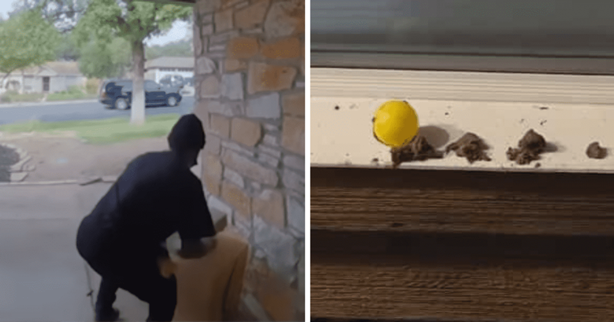 Texas couple's poop trap for porch pirates backfires as thieves get ...