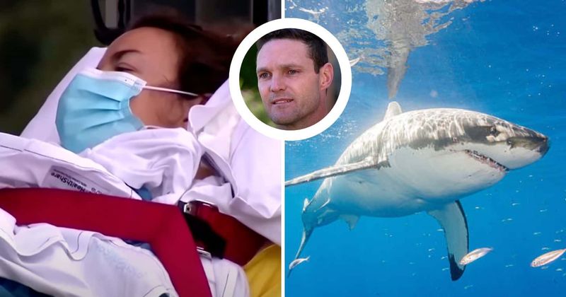 Surfer mauled by shark in terrifying attack saved by her partner who ...
