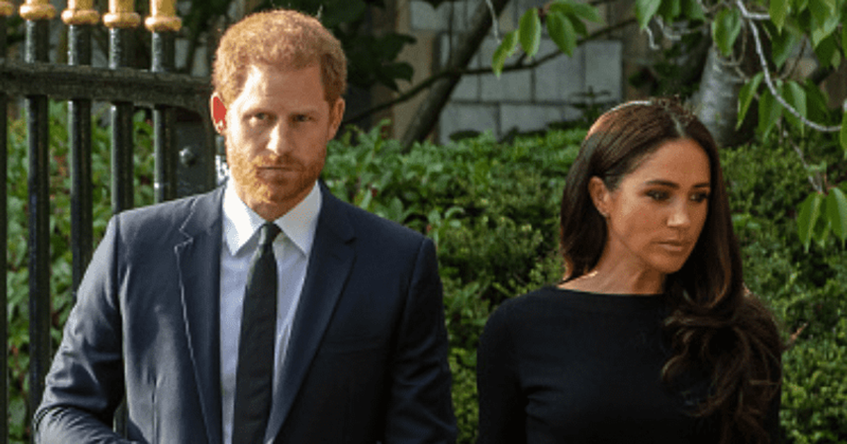 Meet the 'Duke and Duchess of Netflix': Royal commentator slams Prince ...