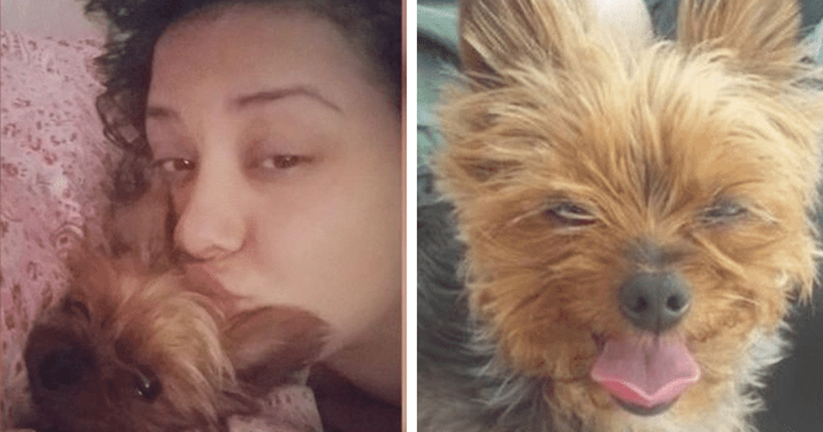 Woman who wanted to hold on to beloved pet's ashes distraught after her ...