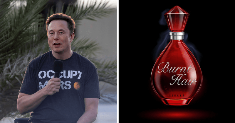 'Elon's Musk': Tesla owner launches 'scent of repugnant desire' Burnt ...