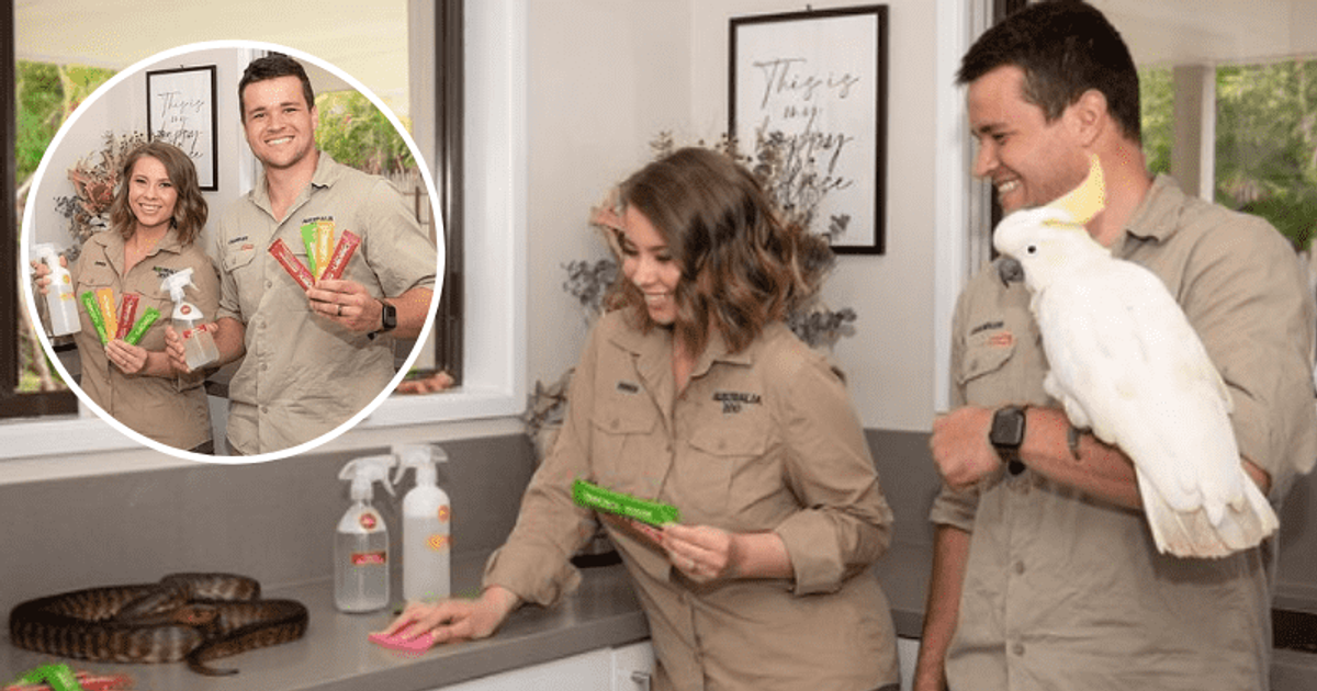 'Don't go into advertising': Bindi Irwin 'tarnishing' legacy with paid ...