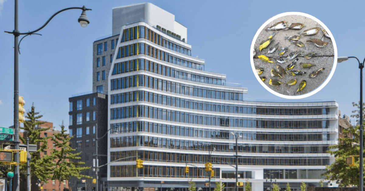 Where is NYC's 'egregious bird killing building'? Structure deemed ...