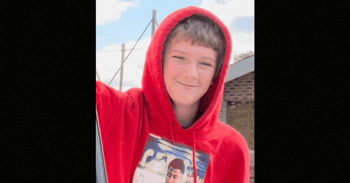 Tyler Phillips: Hero who saved sister and sacrificed himself in hit-and ...