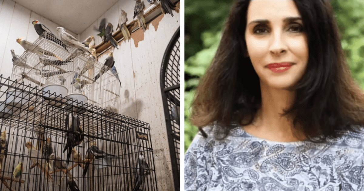 Karin Keyes: Author arrested for cruel confinement of over 300 animals ...