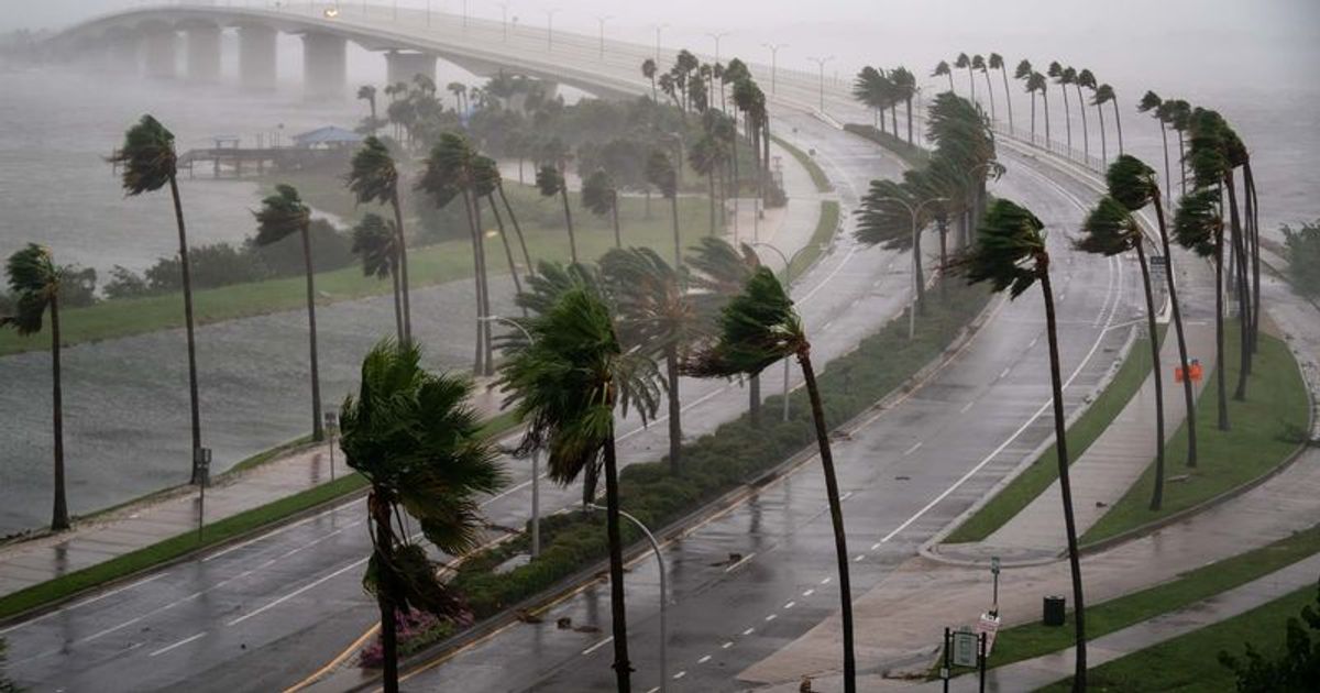 What Is Invest 98L? Florida urged to be prepared for potential tropical ...