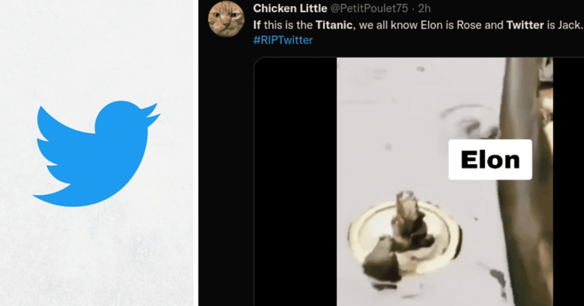 ‘If Titanic was a comedy’: Internet compares Twitter to sunken ship ...