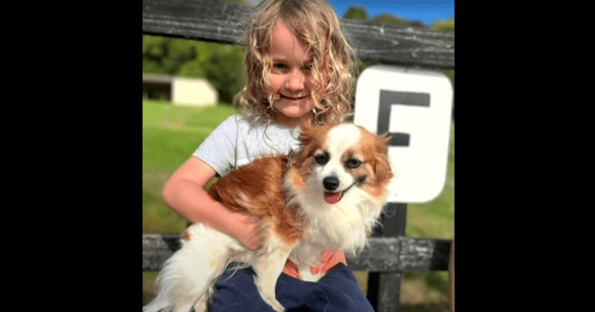 Beau Blake: Boy, 5, bitten and dragged into pool by 10-ft long python ...