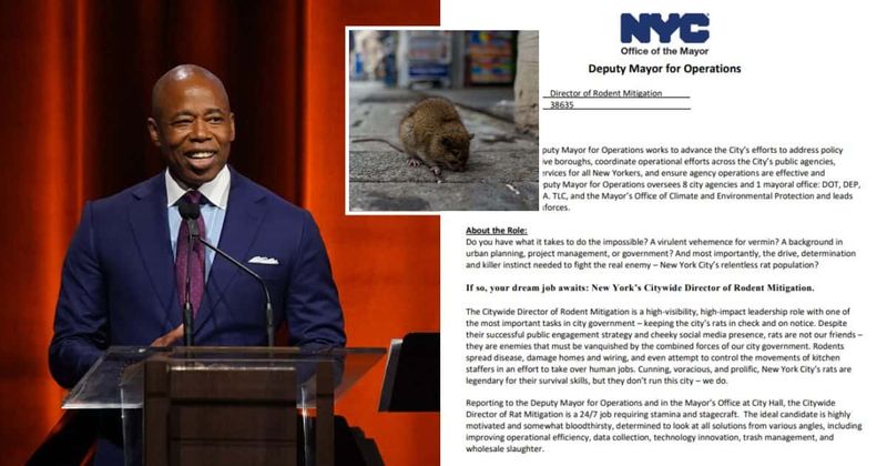 Rat Czar needed: NYC Mayor Eric Adams announces $170K job, seeks ...