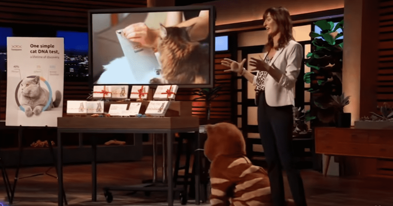 Where is Basepaws from 'Shark Tank' now? Zoetis acquires DNA testing ...