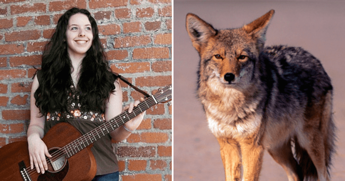 WHAT killed Taylor Mitchell? Experts have new theory about how teen ...