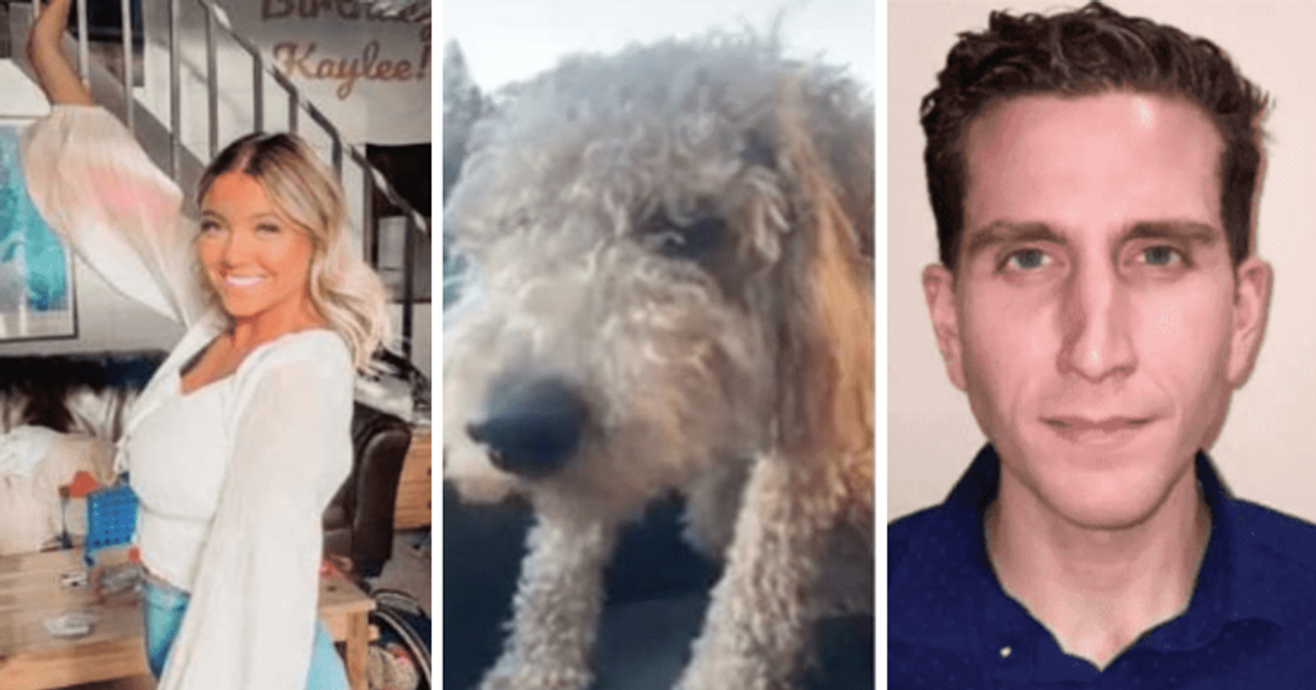 'Vegans are against animals being killed': Internet theorizes why Bryan ...