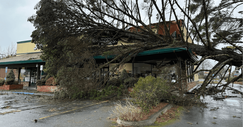 Two-year-old boy killed after giant redwood tree falls on trailer home ...
