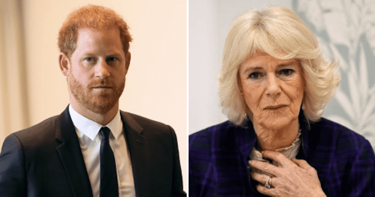 Camilla will be hurt by Prince Harry calling her a 'dangerous villain ...
