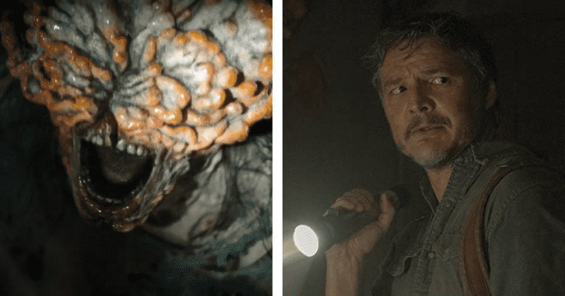 'A nightmare situation': Internet shocked as 'The Last of Us' creator ...