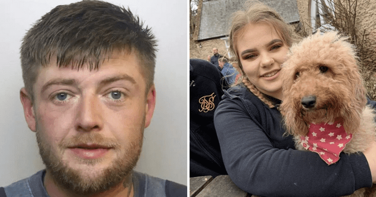 Luke Hawkes: Man, 28, kills 19-year-old after driving through red light ...