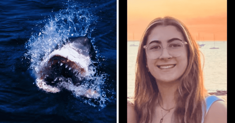 Stella Berry: Teen mauled to death by shark created ocean pool design ...