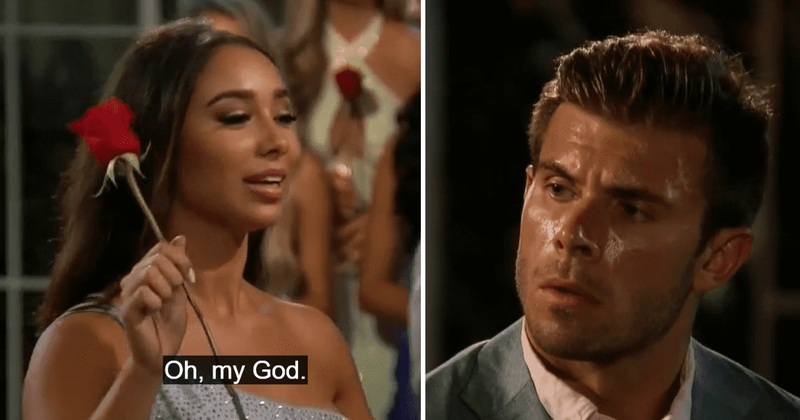 Why did Zach give rose to Kylee? 'The Bachelor' star's move dubbed ...