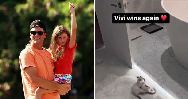 'In good loving hands':Tom Brady gets daughter Vivian two Siamese mix ...