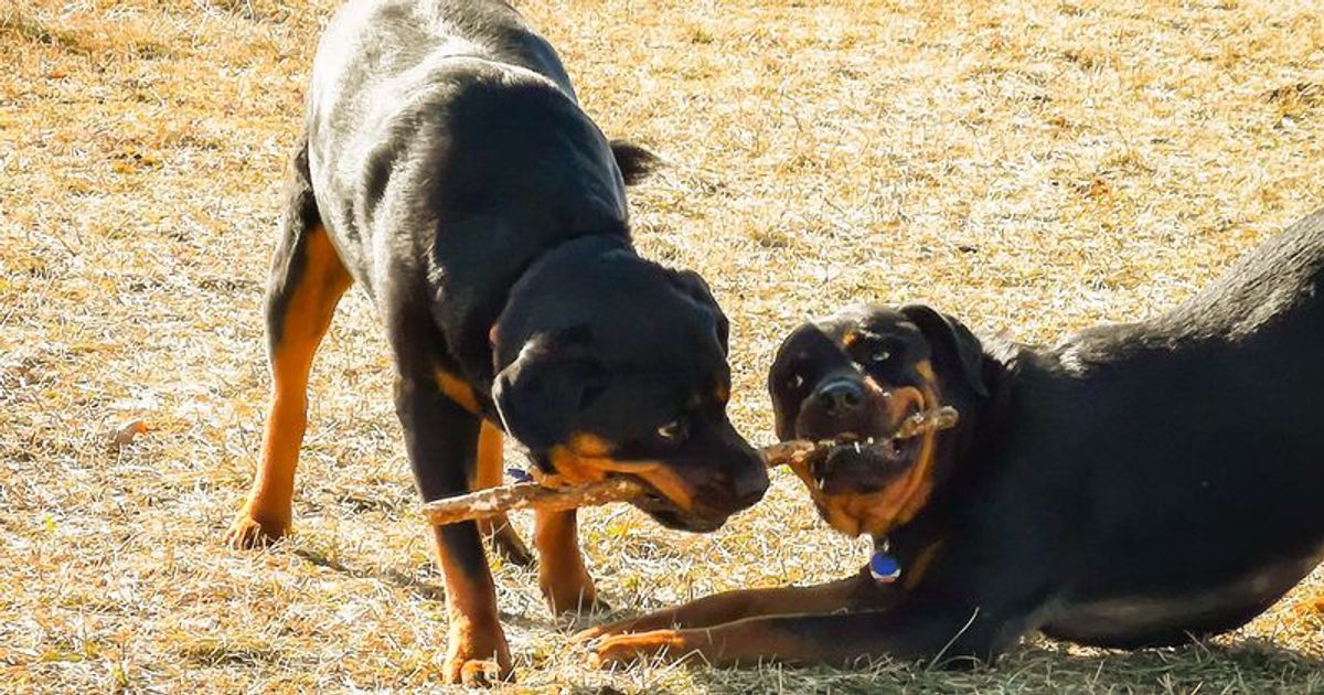 'It happened out of nowhere': Family friend details baby's death after ...