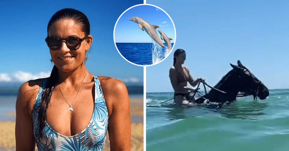 Spectacular video shows tour guide and horse encountering dolphins in crystalline waters | MEAWW