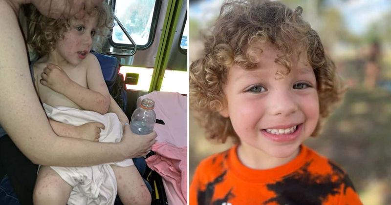 Joshua 'JJ' Rowland: Missing Florida boy, 2, found alive by retired ...