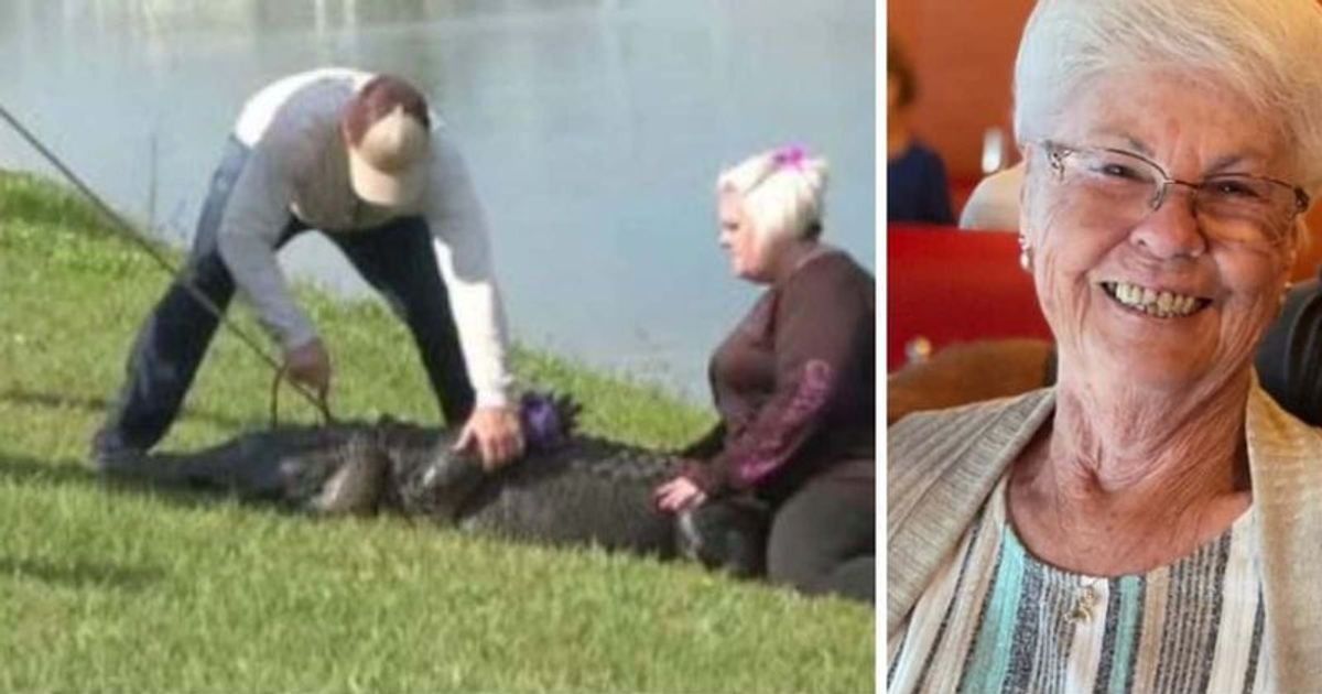 4 alligators removed from Florida lake near senior community after ...