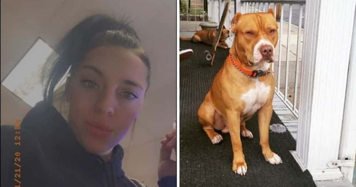Trinity Rowles: Woman scarred for life after dad's rescue dog rips off ...