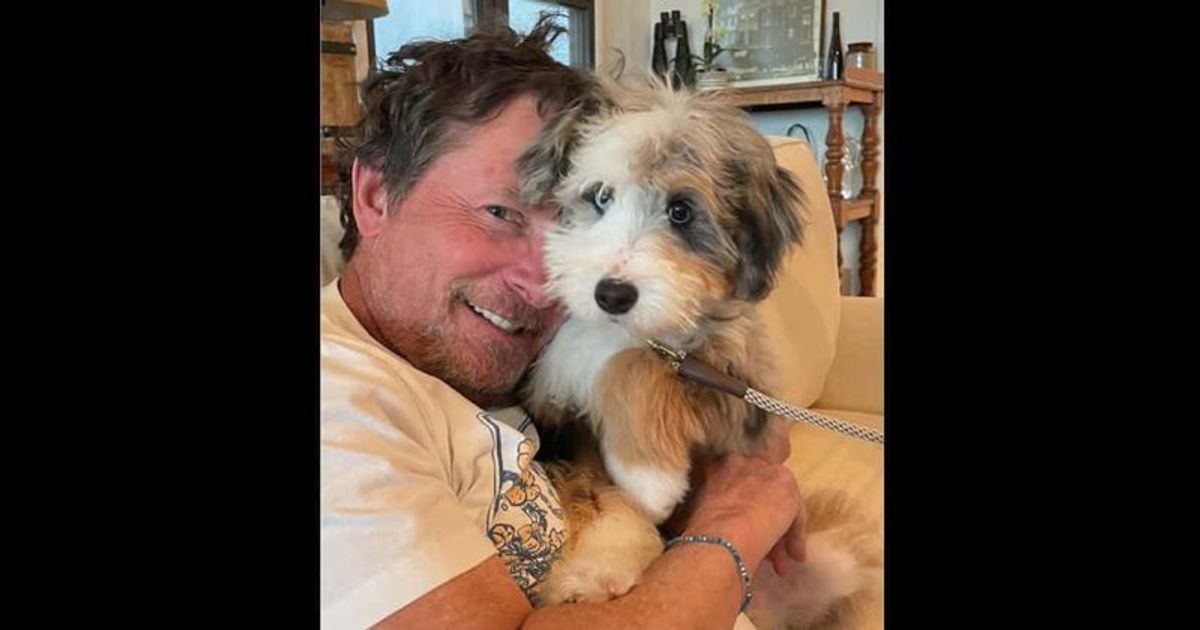 Aww-dorable! Michael J Fox poses with furry friend as he welcomes home ...