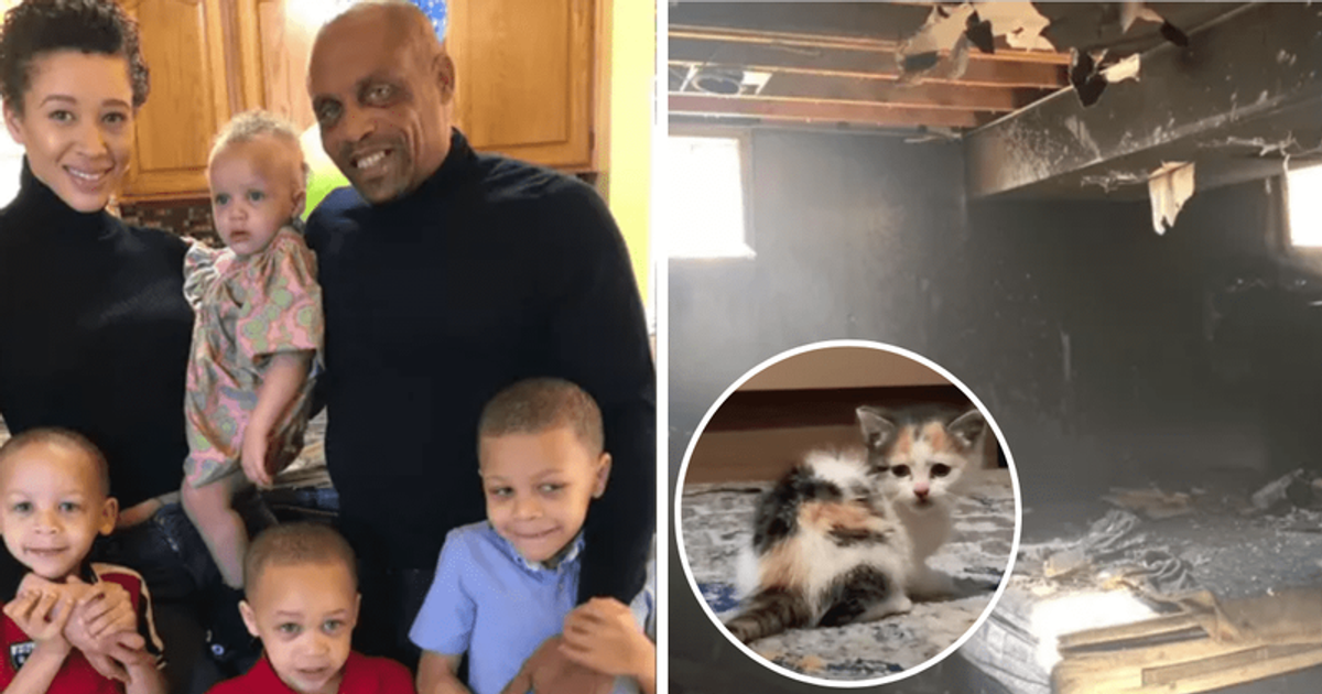 Brave kitten dies after saving family of six from fire in Ohio | MEAWW